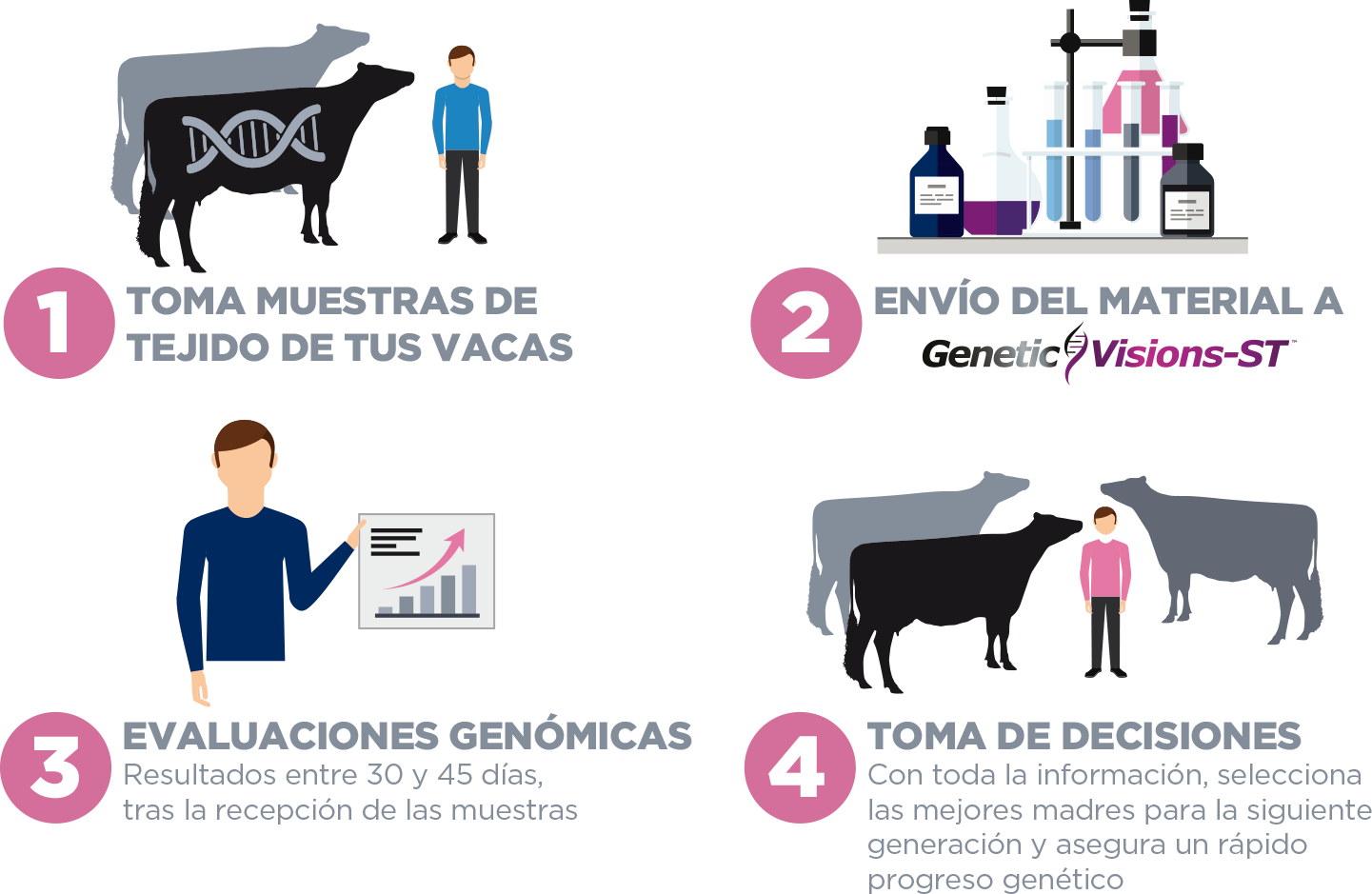 Test Genómicos – Xesga, Xenética e servizos gandeiros